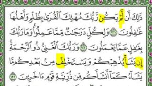 18 Jazm-izers of Verbs